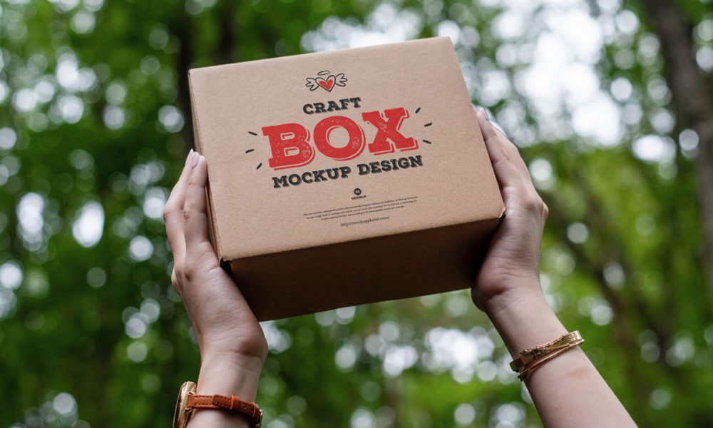 Free Person Holding Craft Box Mockup Design - Mockup Planet